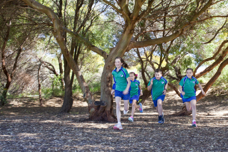 Galleries - Falcon Primary School Western Australia